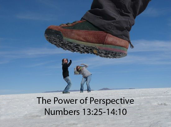 The Power of Perspective - SHBC